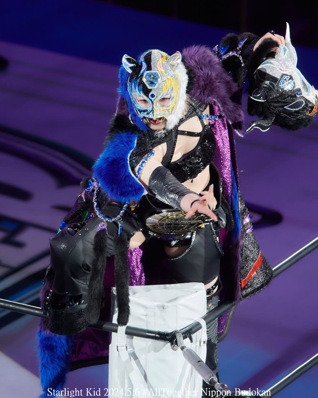 Starlight Kid photo Library | 写真屋3