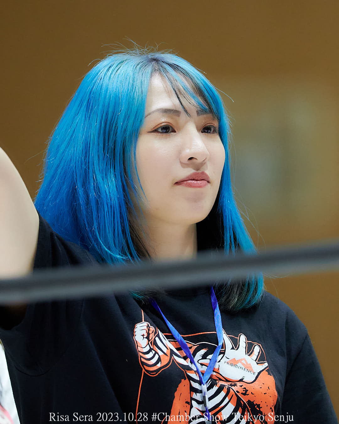 プロミネンス・フォト ライブラリ | 写真屋3