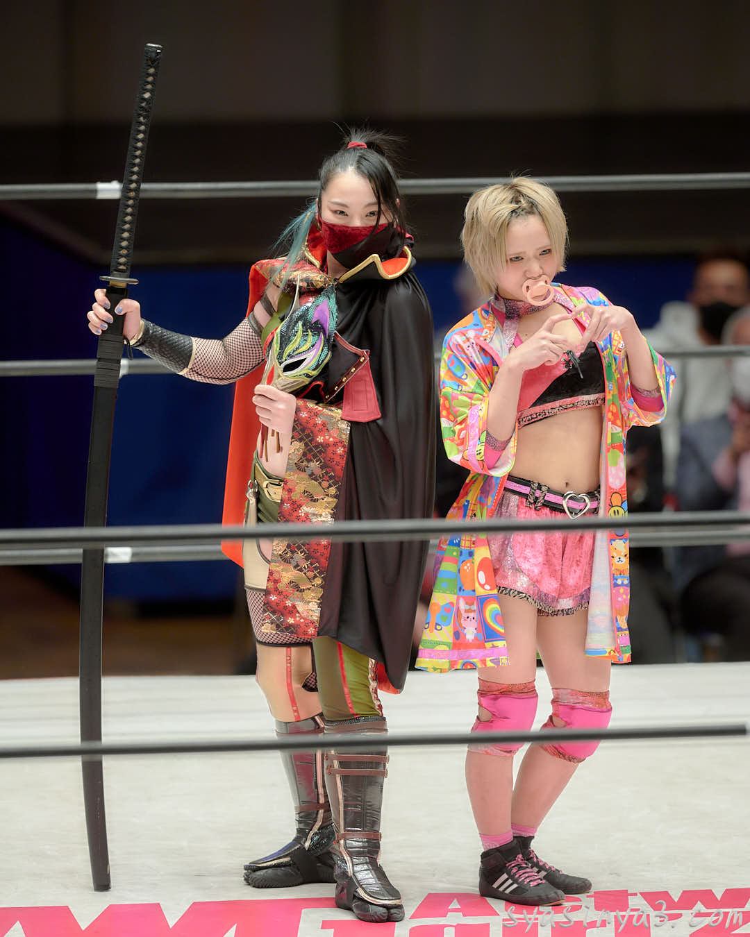 アクトレスガールズ・フォト ライブラリ | 写真屋3