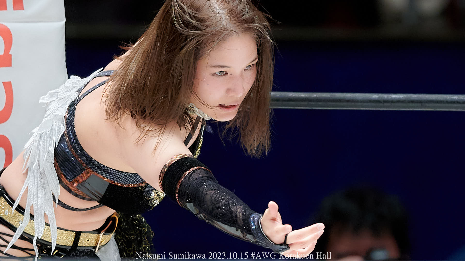 マリーゴールド・フォト・ライブラリ | 写真屋3