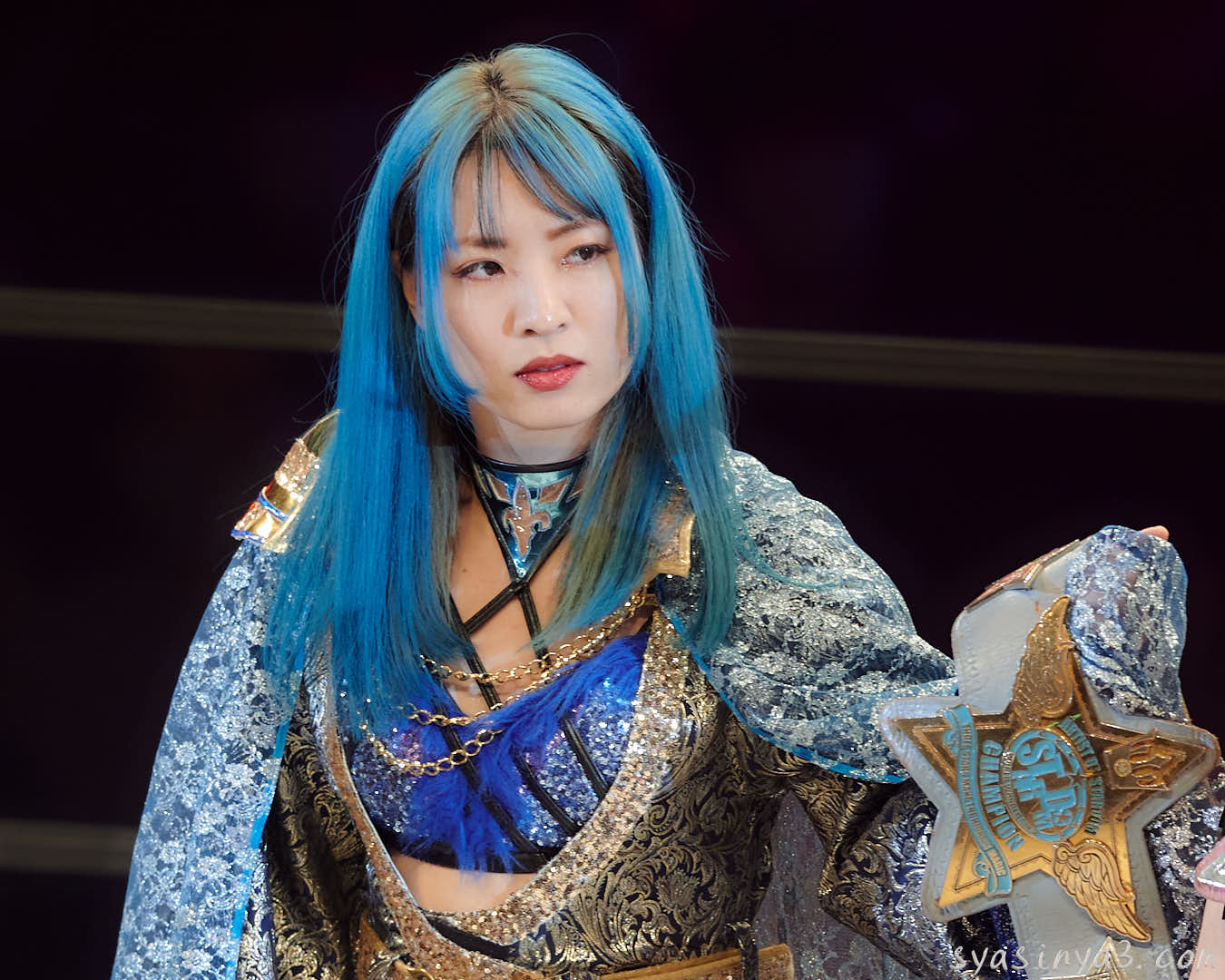 プロミネンス・フォト ライブラリ | 写真屋3