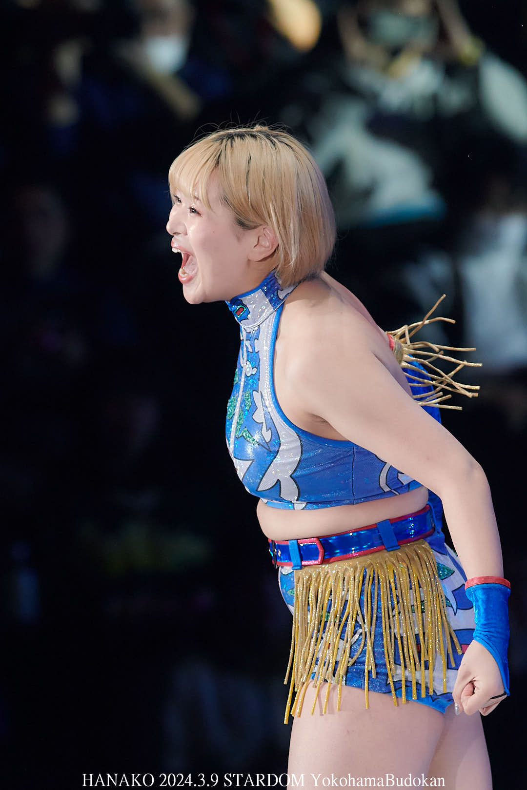 STARDOM EXV Library | 写真屋3