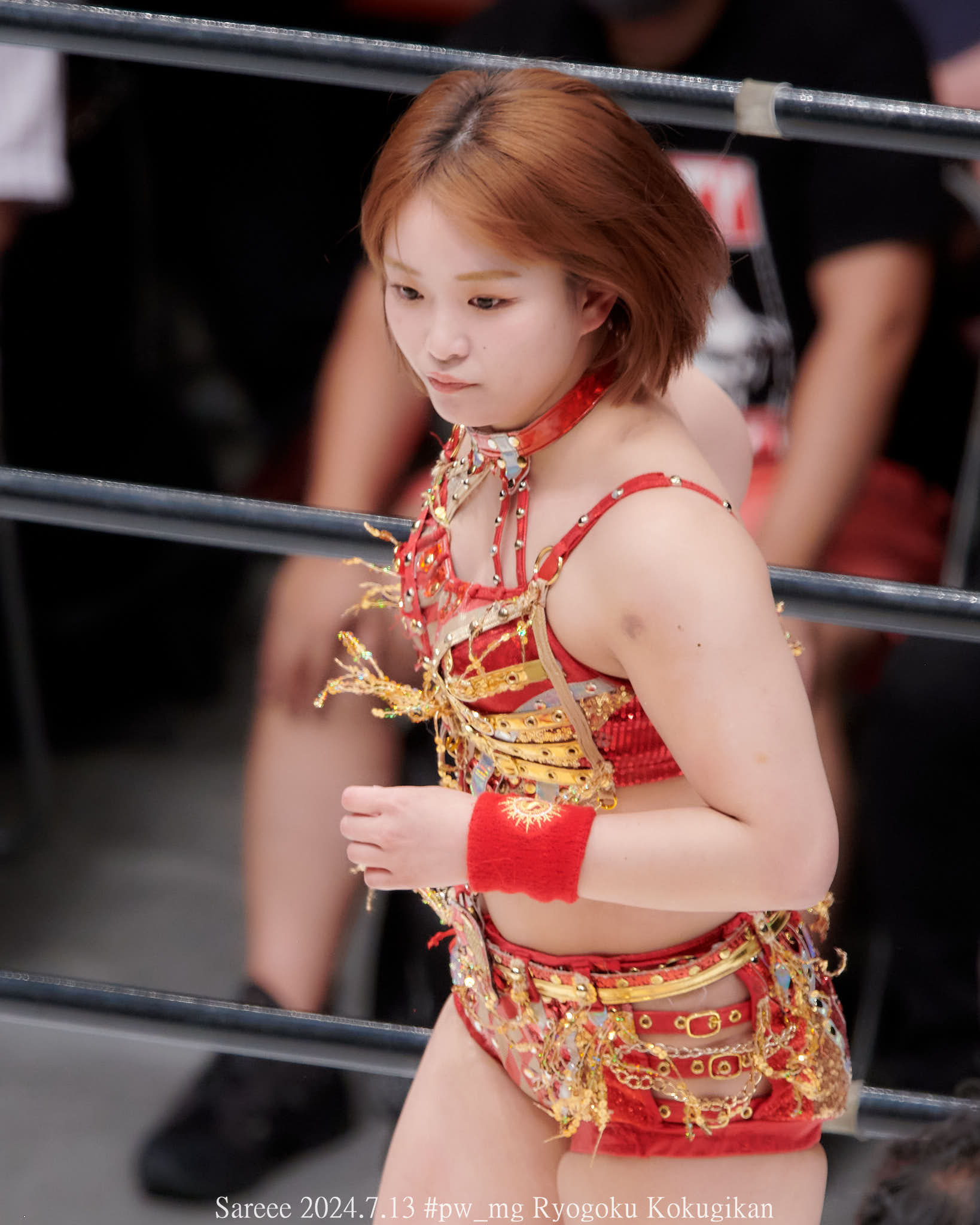 Sareee(Sarray) photo Library | 写真屋3