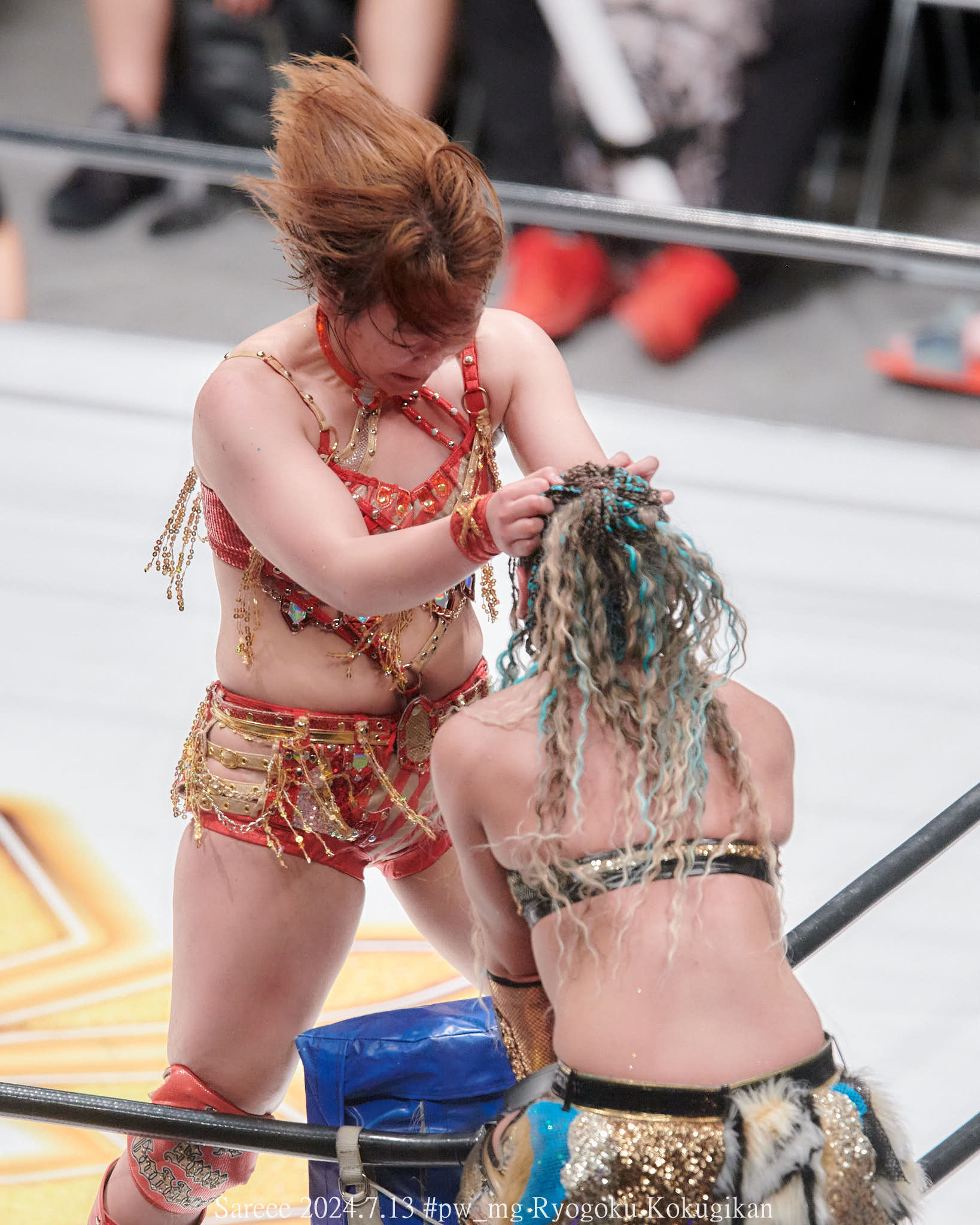 Sareee(Sarray) photo Library | 写真屋3