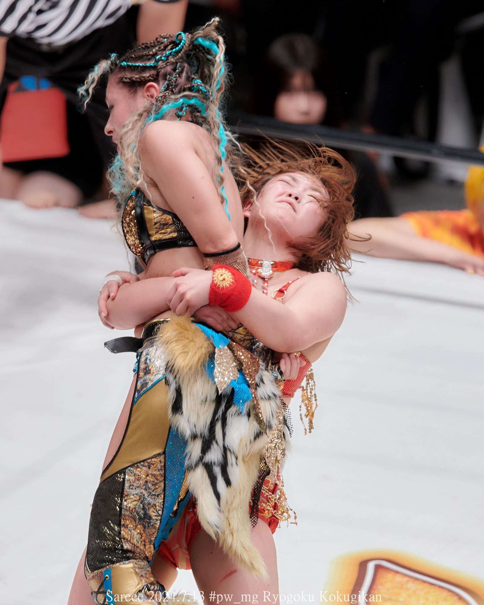 Sareee(Sarray) photo Library | 写真屋3