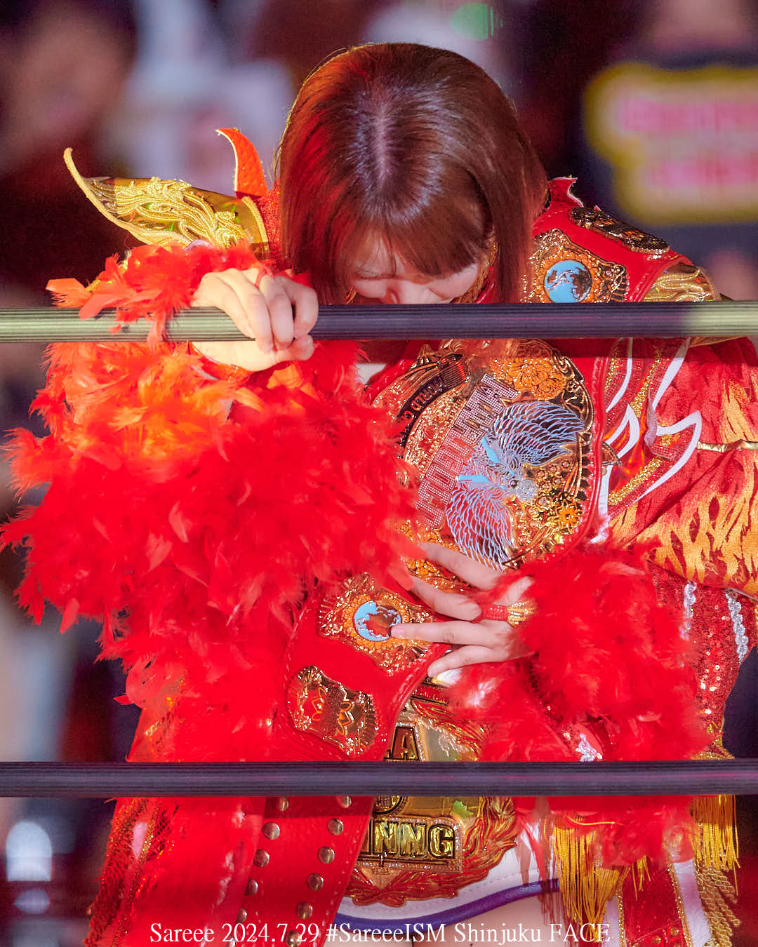 Sareee(Sarray) photo Library | 写真屋3