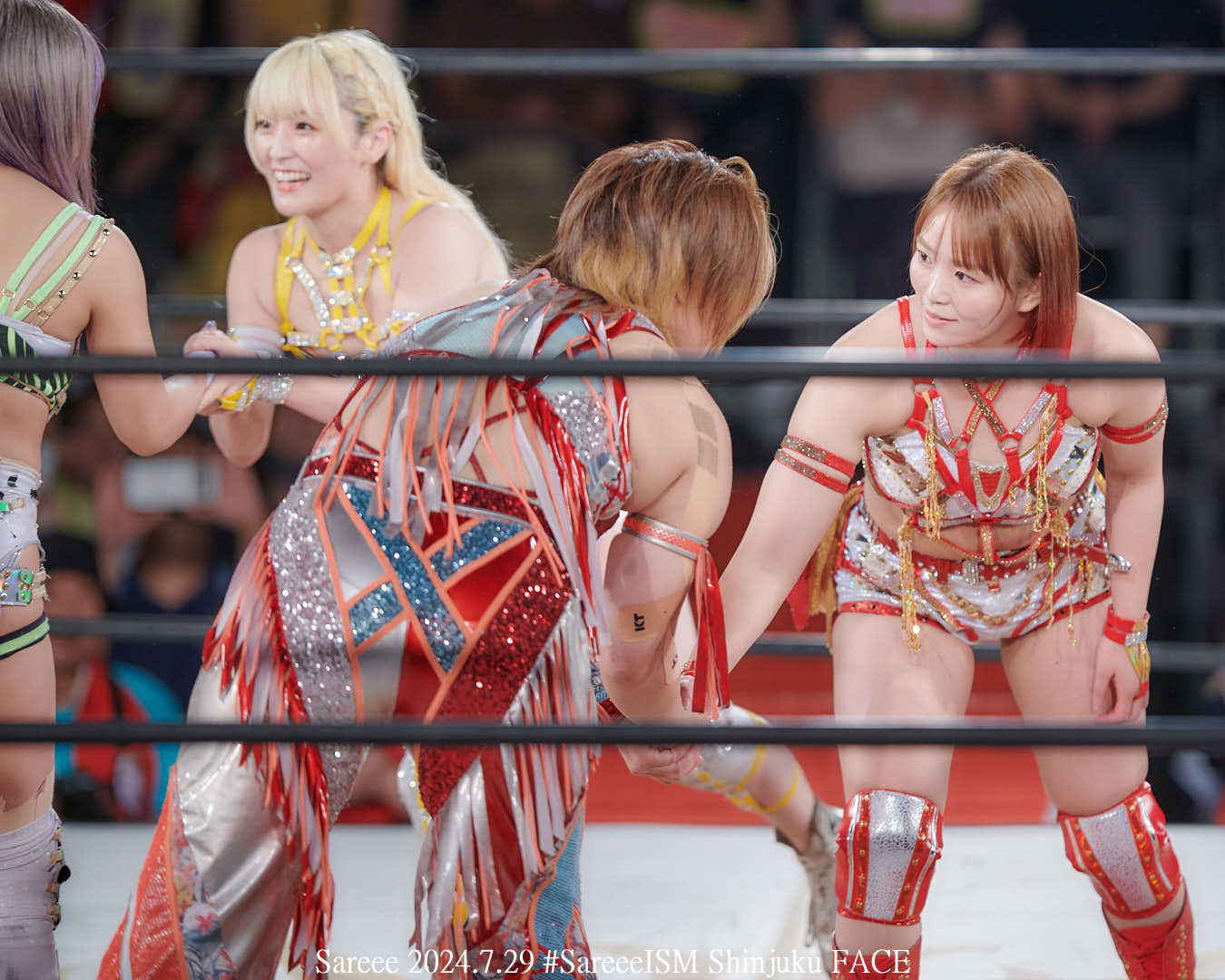 Sareee(Sarray) photo Library | 写真屋3