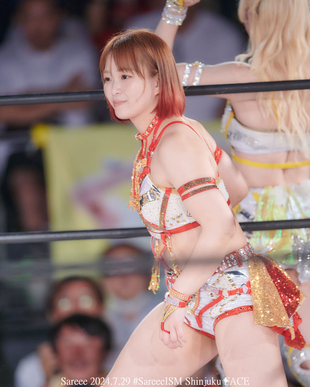 Sareee(Sarray) photo Library | 写真屋3