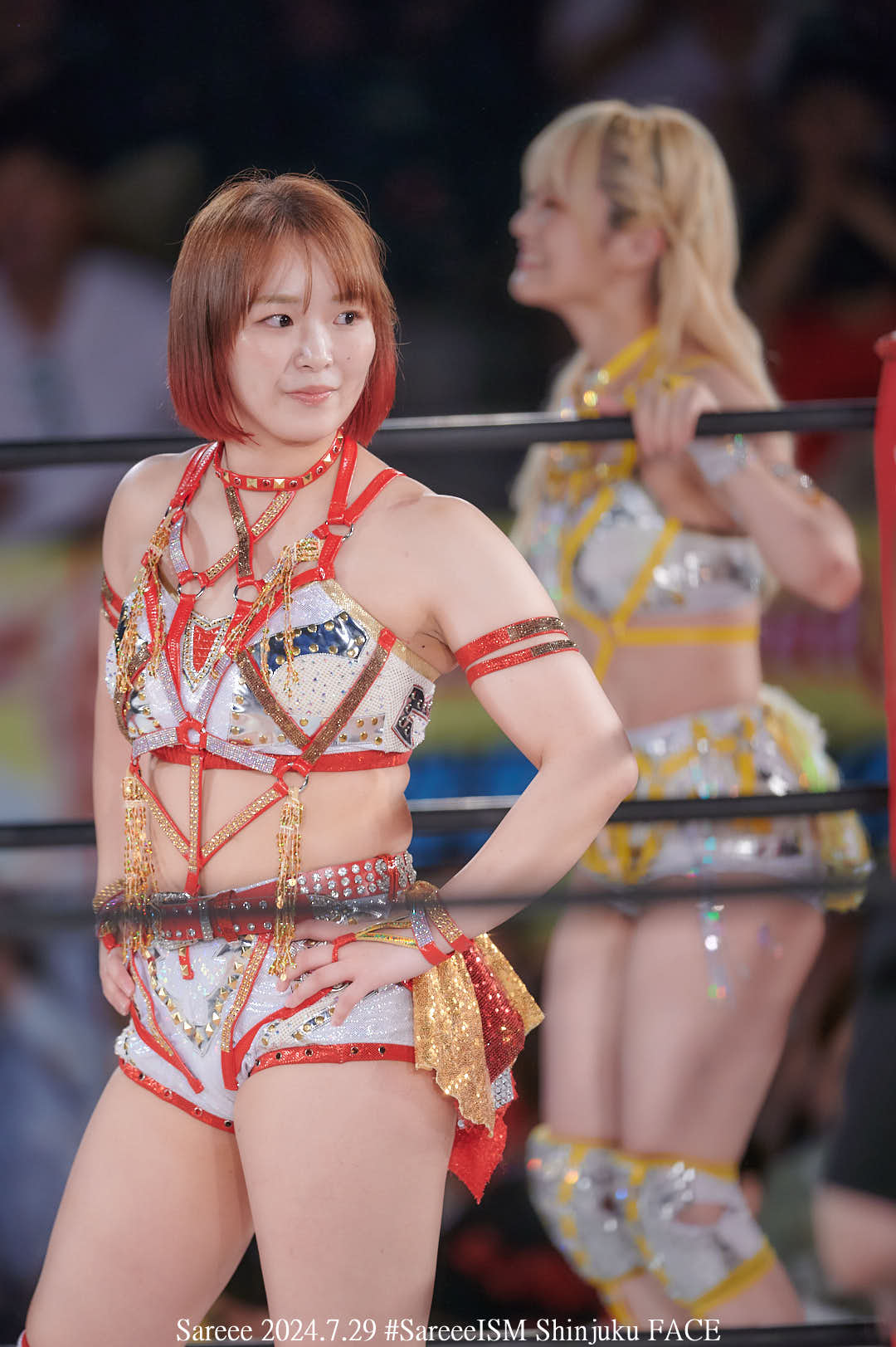 Sareee(Sarray) photo Library | 写真屋3