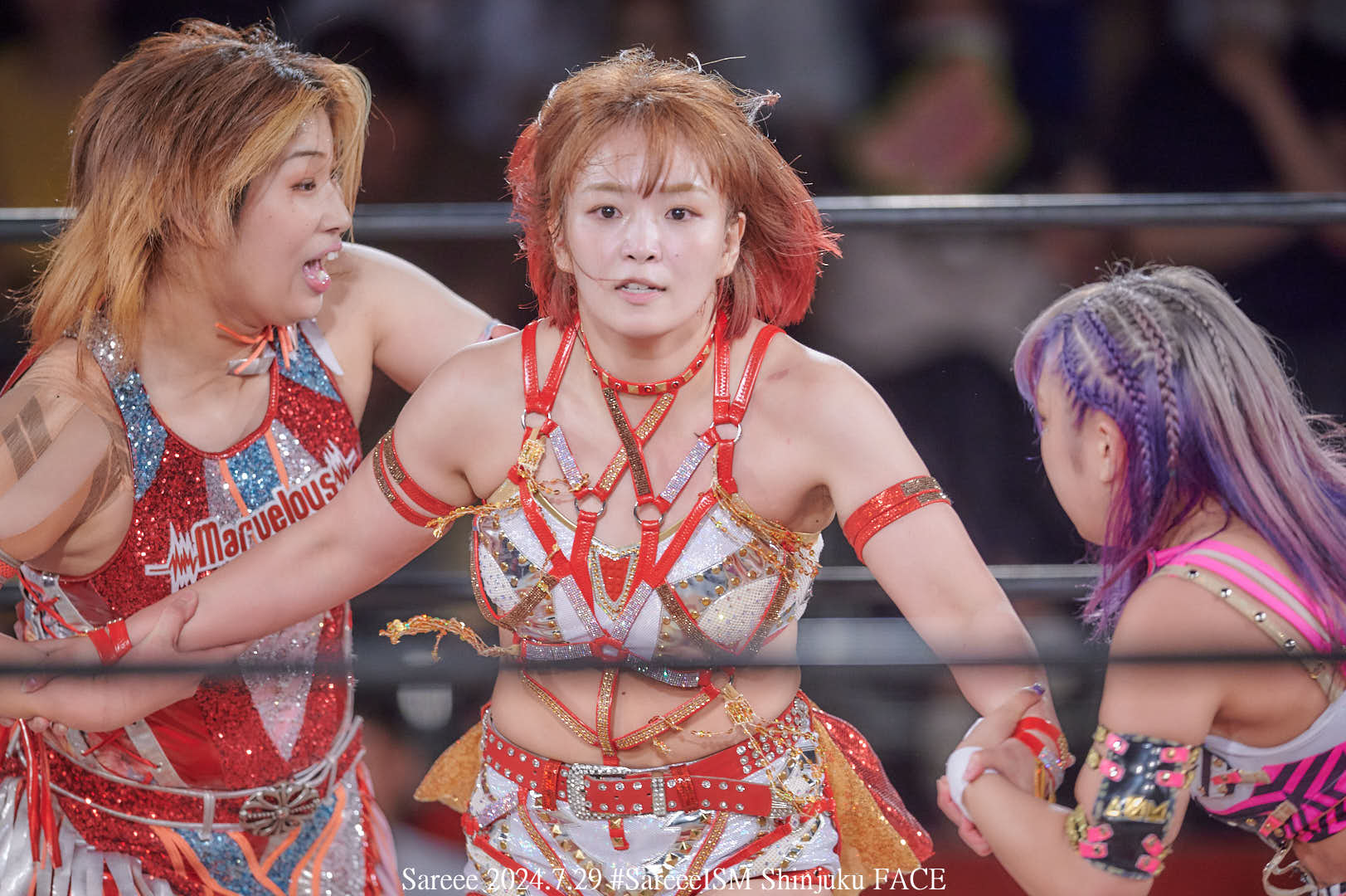 Sareee(Sarray) photo Library | 写真屋3