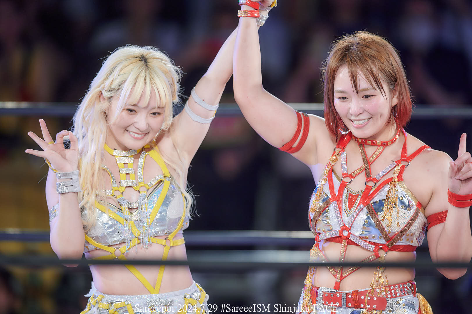 Sareee(Sarray) photo Library | 写真屋3