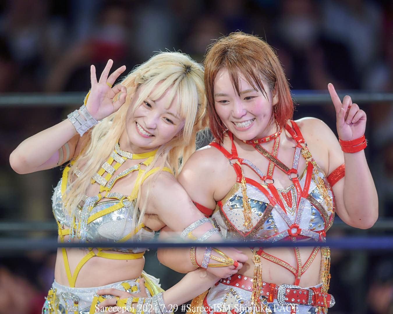 Sareee(Sarray) photo Library | 写真屋3