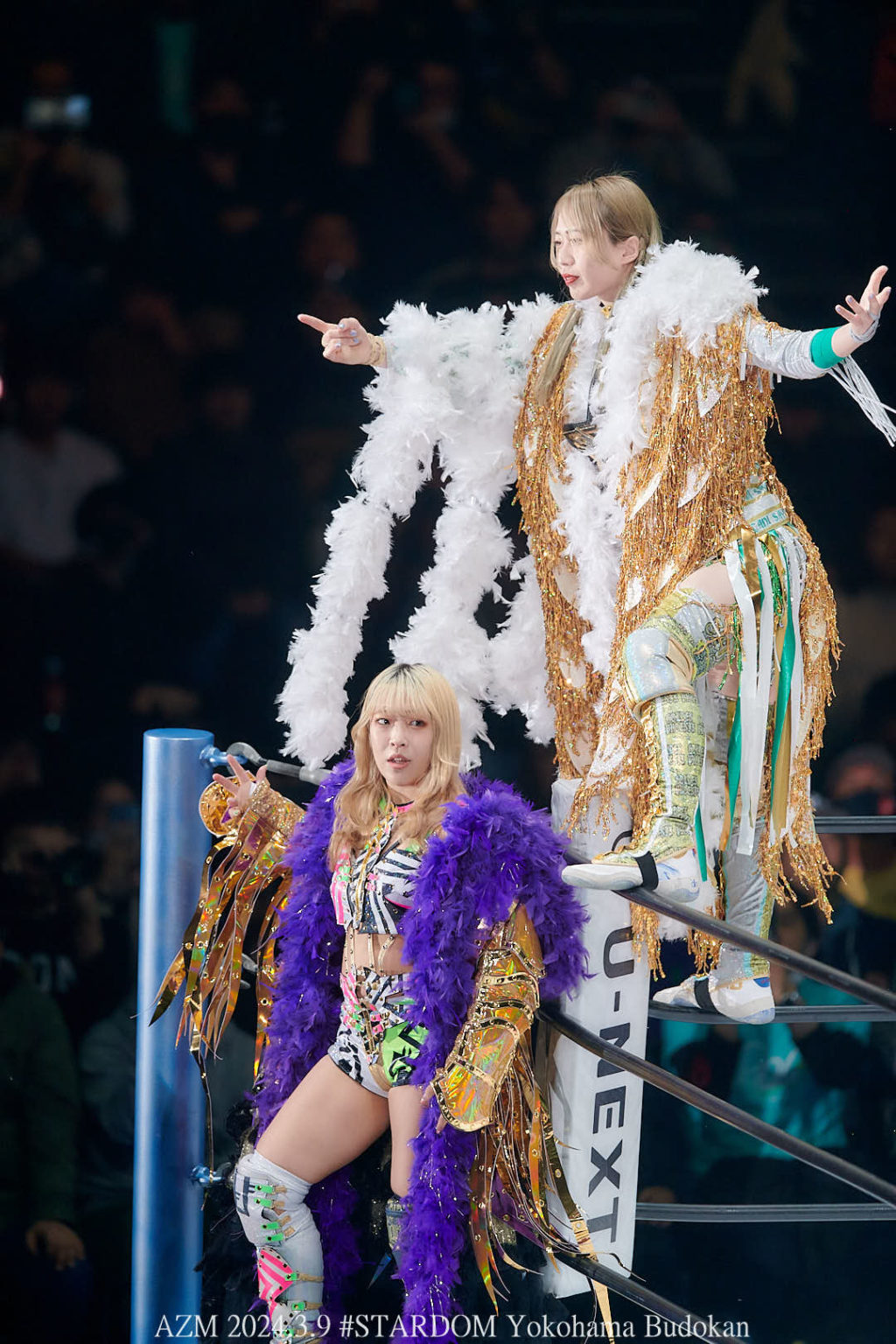 AZM photo Library | 写真屋3