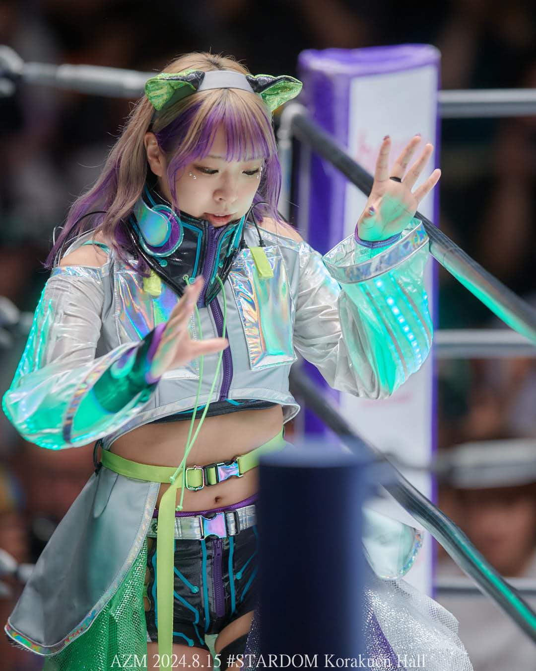 AZM photo Library | 写真屋3