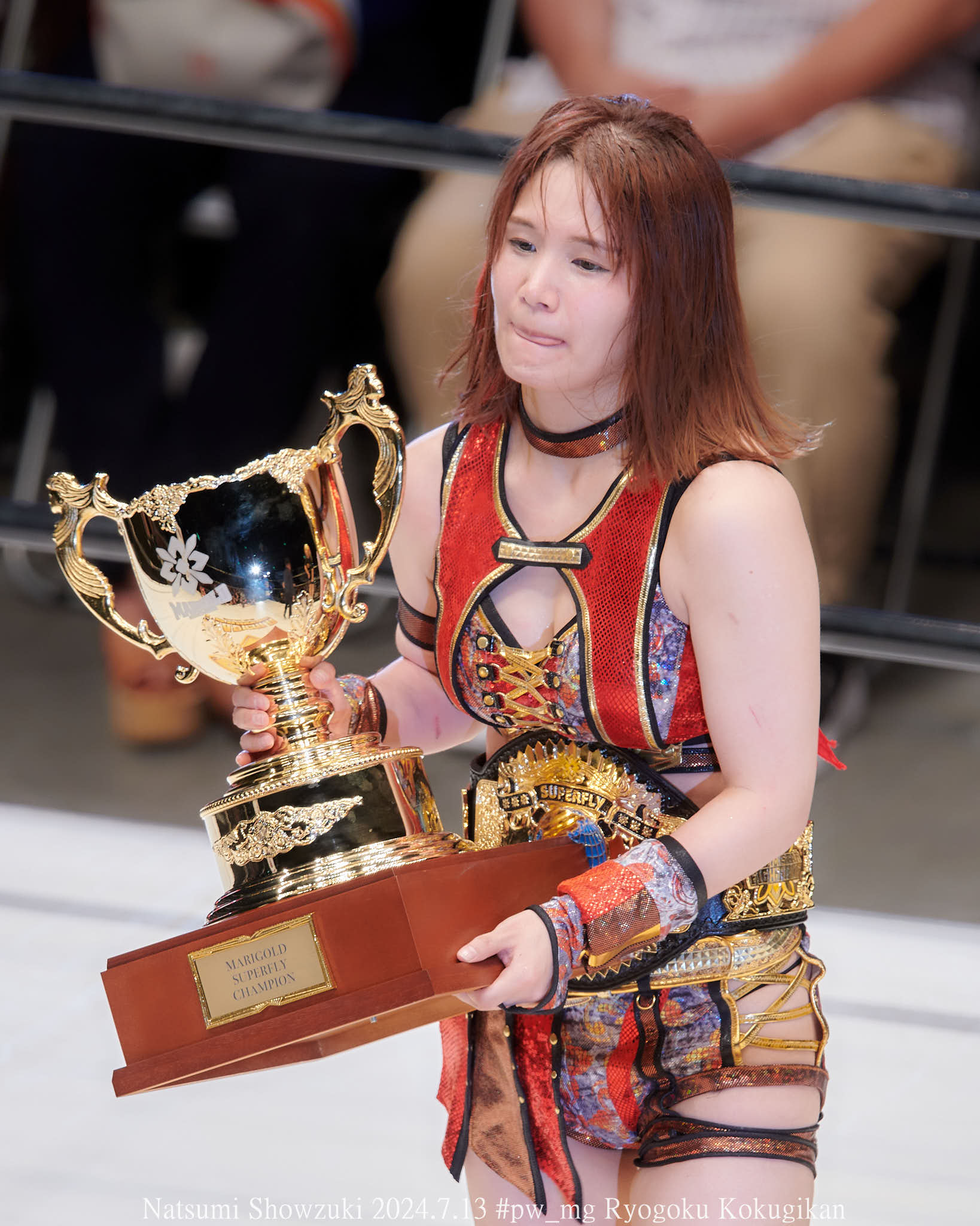 マリーゴールド・フォト・ライブラリ | 写真屋3